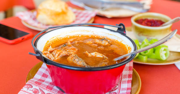 Egekben a ponty ára, drága lesz a karácsonyi vacsora - mfor.hu