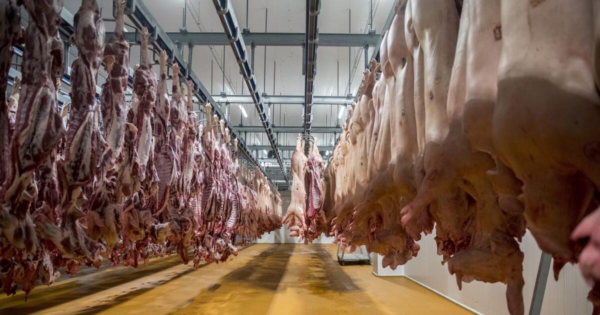 Olcsóbb lesz a sertéshús a boltokban is? - mfor.hu