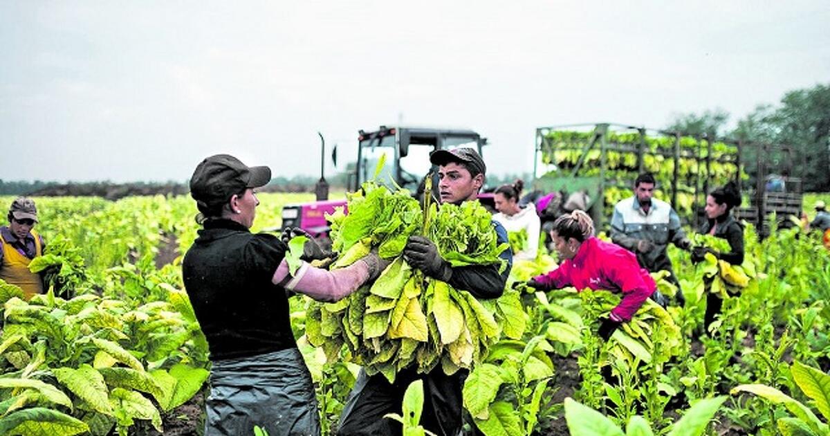 Nagy változást hoz a július: ez több százezer embert érint - mfor.hu